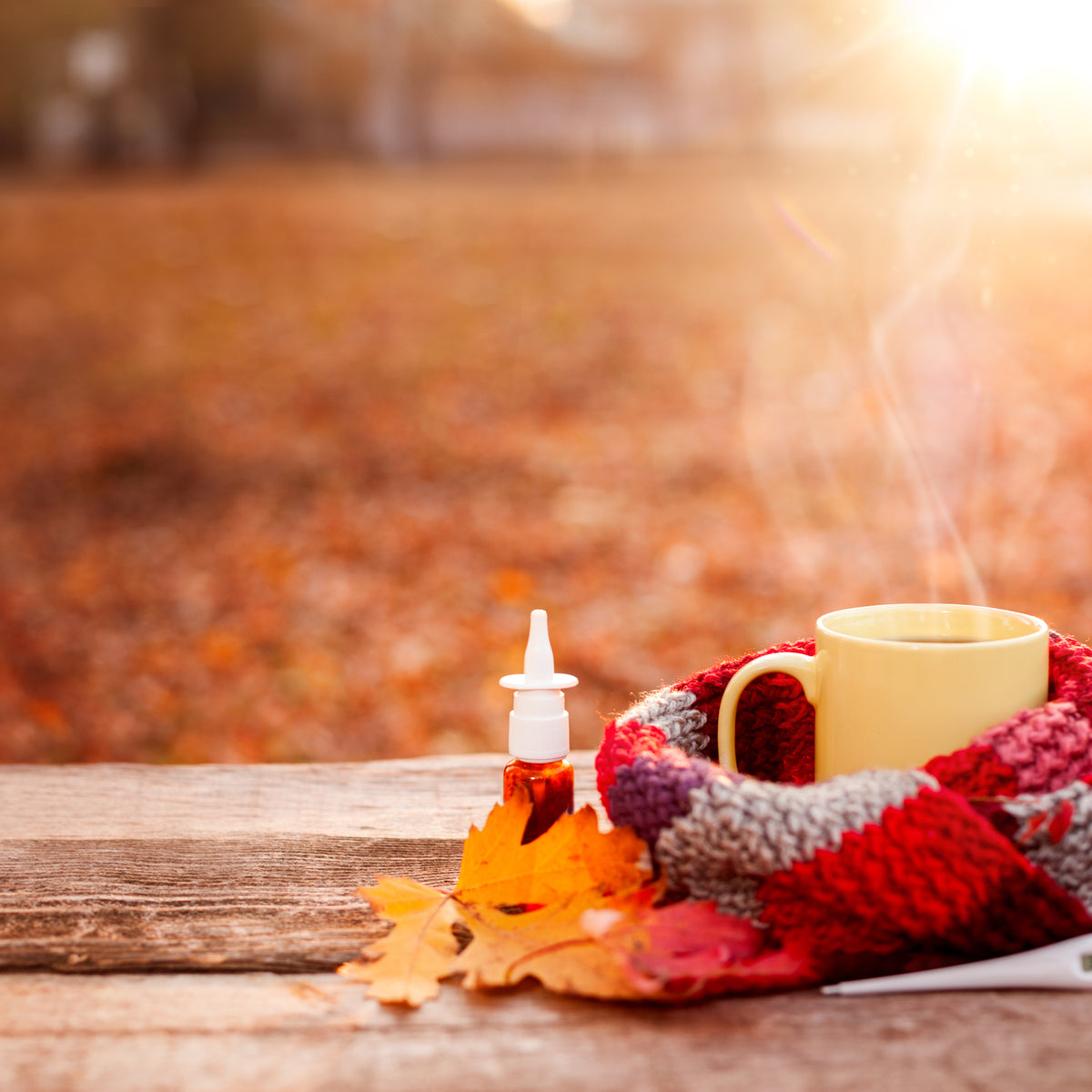 Are you Supporting your Immunity this Winter? | Nourished
